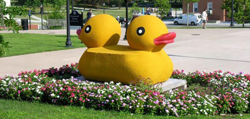 Art on Campus - Longwood Center for the Visual Arts